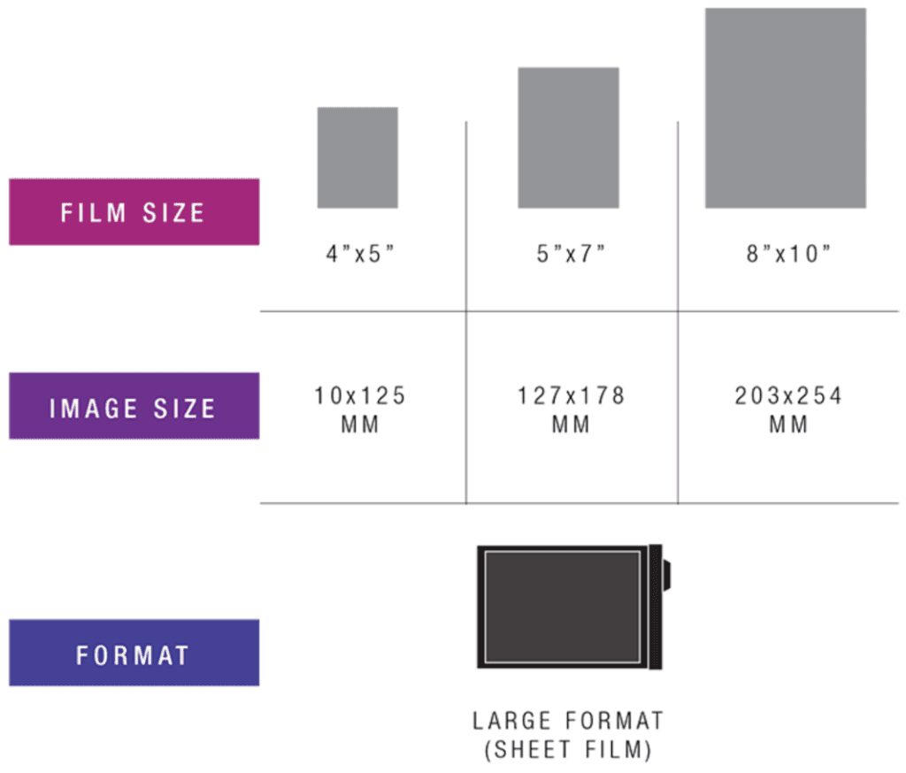 Film Sizes and Formats | Film Developing Experts Since 1968 ...